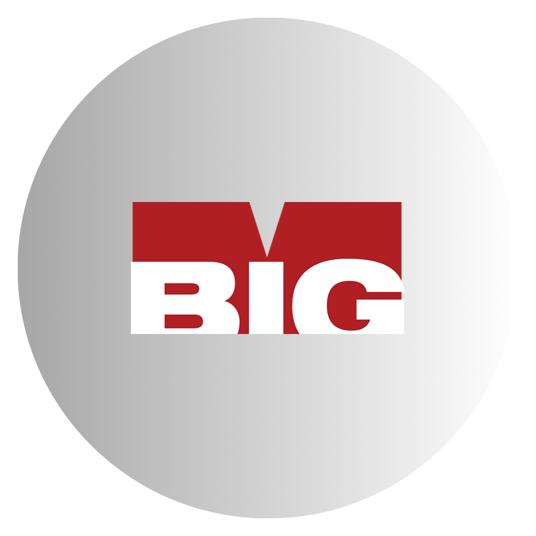 Our Companies – MBIG INc